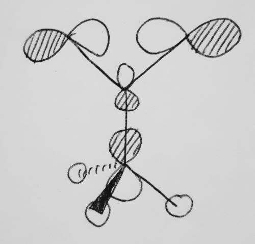 Lab:Lloydsama1 - wiki